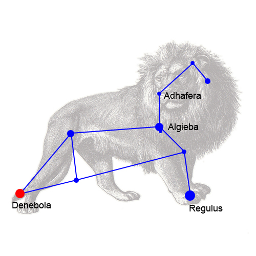 leo constellation & regulus | Night Light News